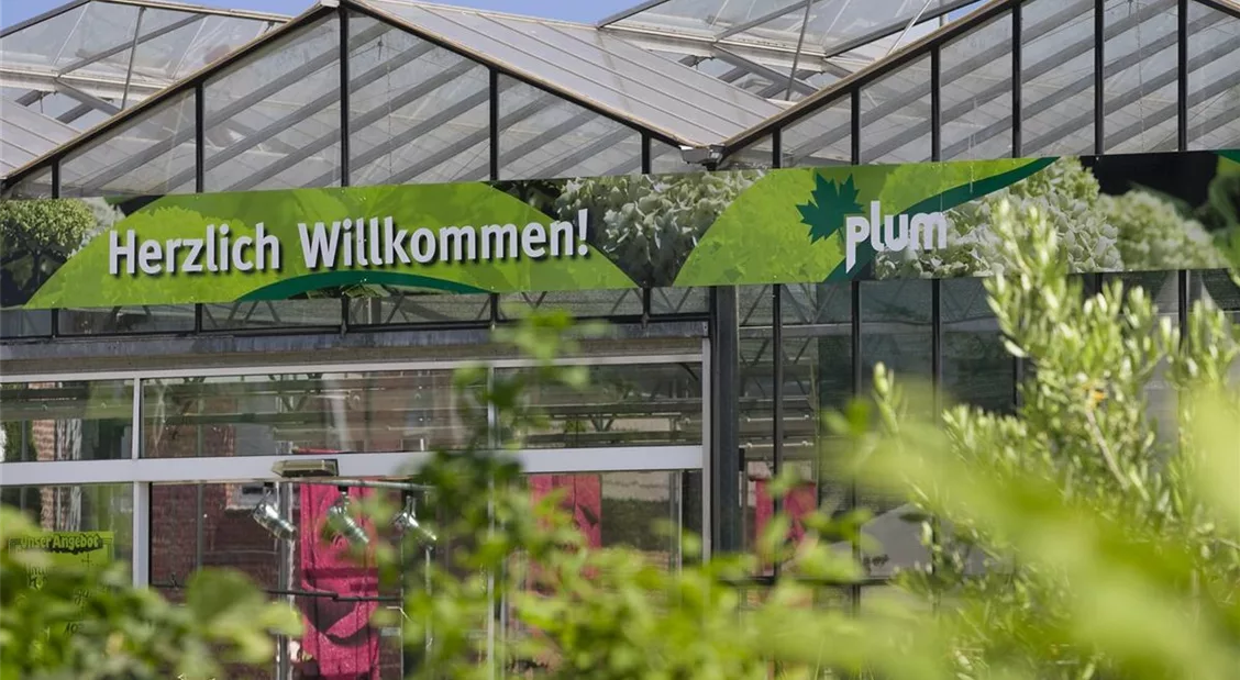 Home - Pflanzenhof Plum