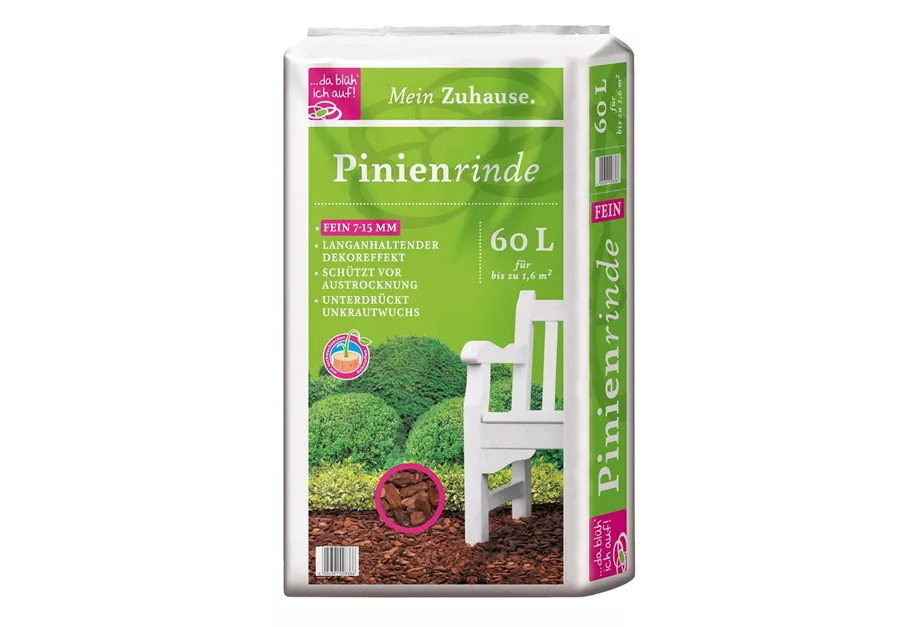 Pinie 7-15 - Pflanzenhof Plum
