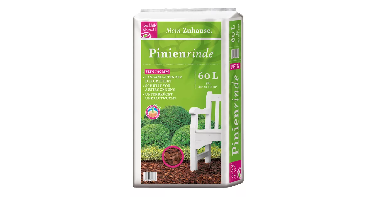 Pinie 7-15 - Pflanzenhof Plum